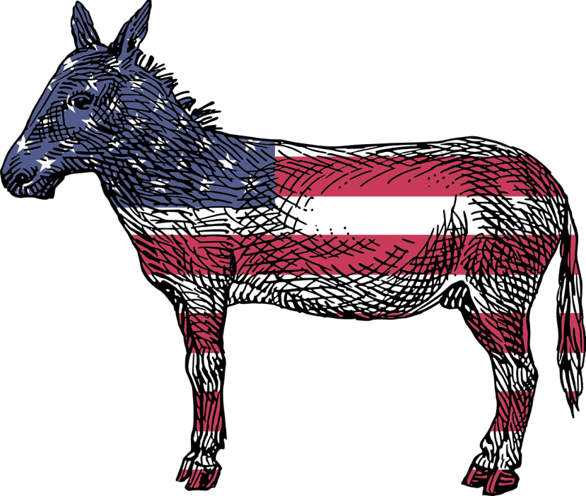 The Unintentional Death of the Grassroots Campaign – The Texas Orator